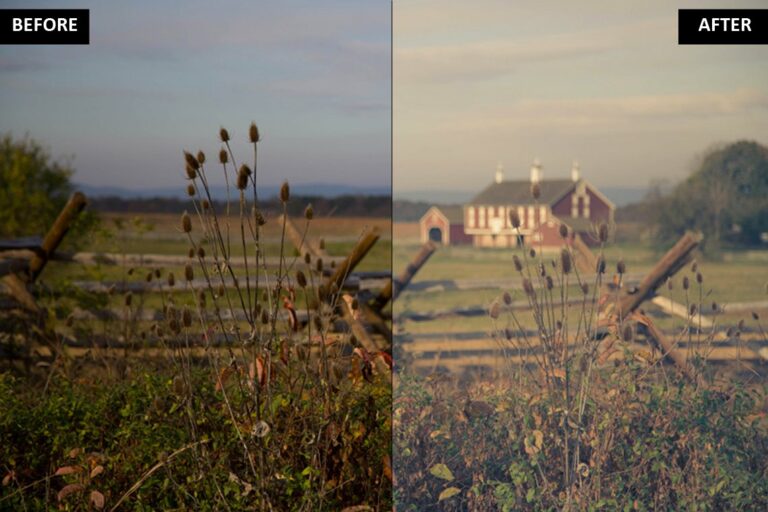 Haze Lightroom Presets – MasterBundles