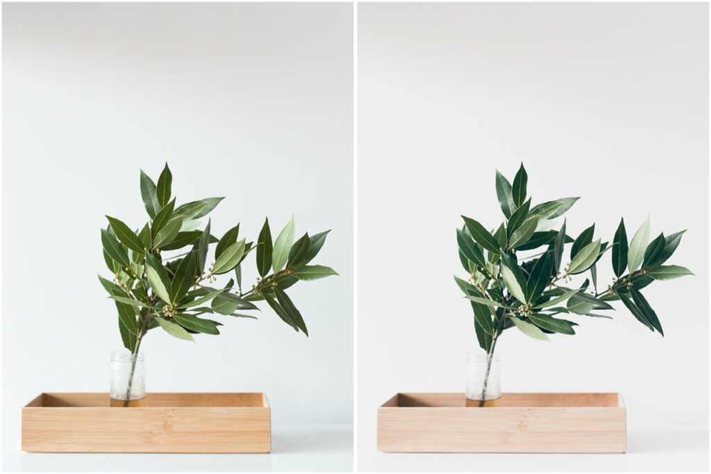 SAVAGE // S1 Lightroom + ACR Preset – MasterBundles