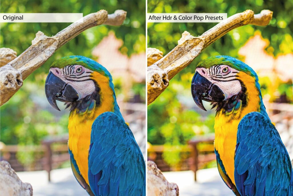 Lightroom Presets HDR & Colors – MasterBundles