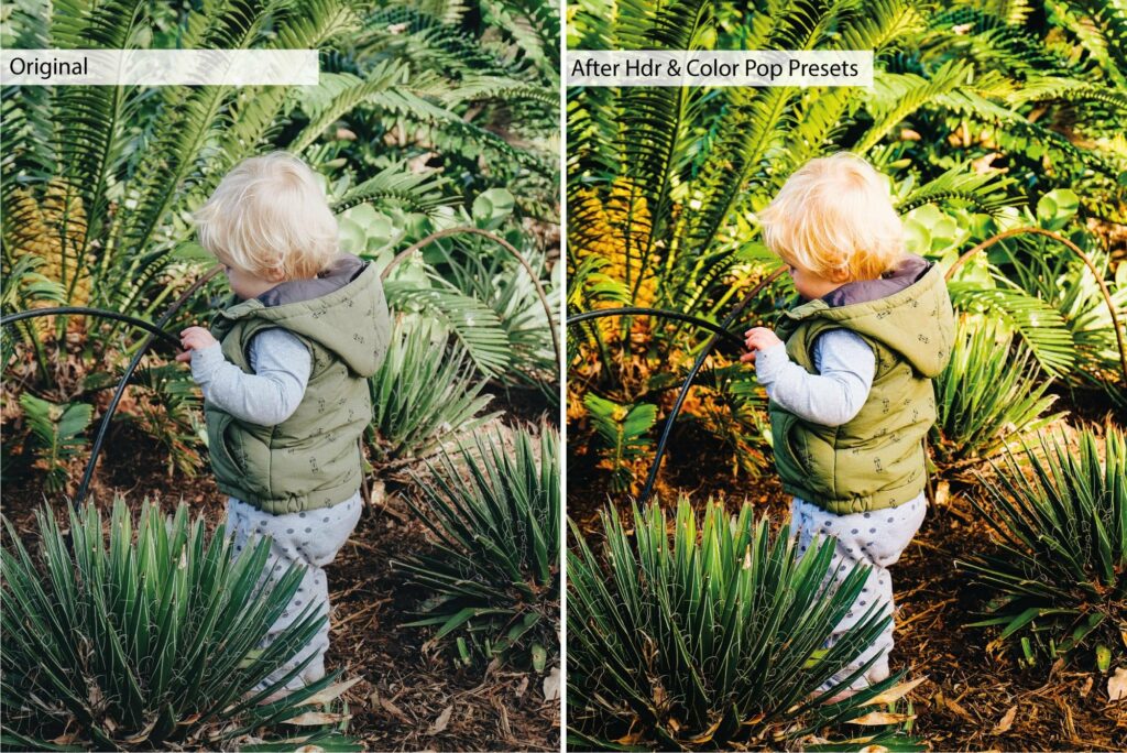 Lightroom Presets HDR & Colors – MasterBundles