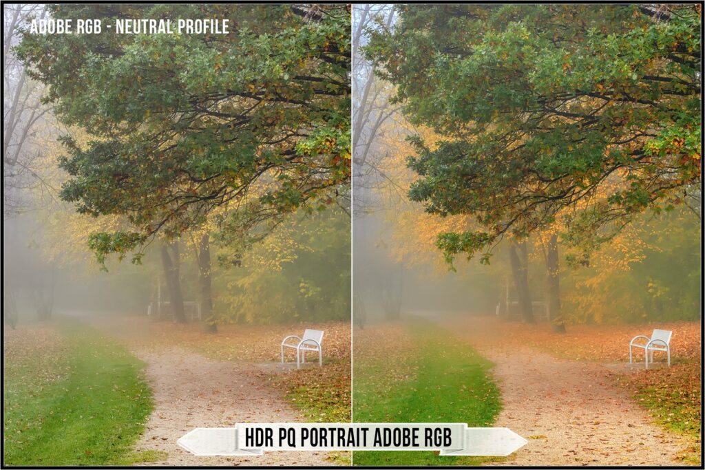 Canon HDR PQ Picture Styles – MasterBundles