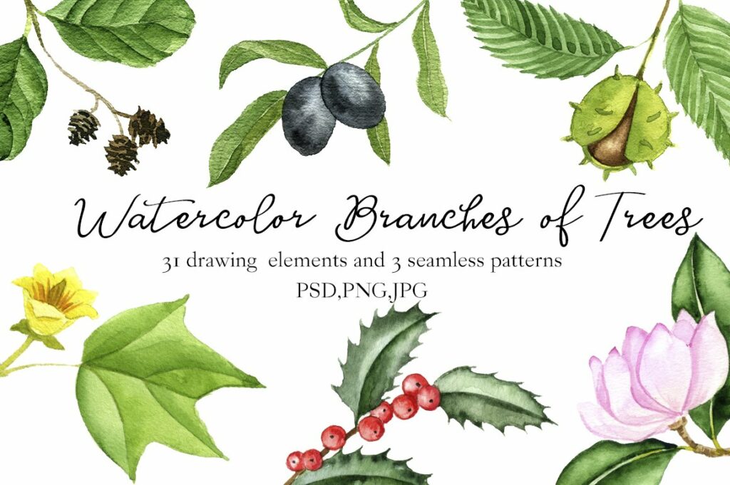 Watercolor Branches of Trees – MasterBundles