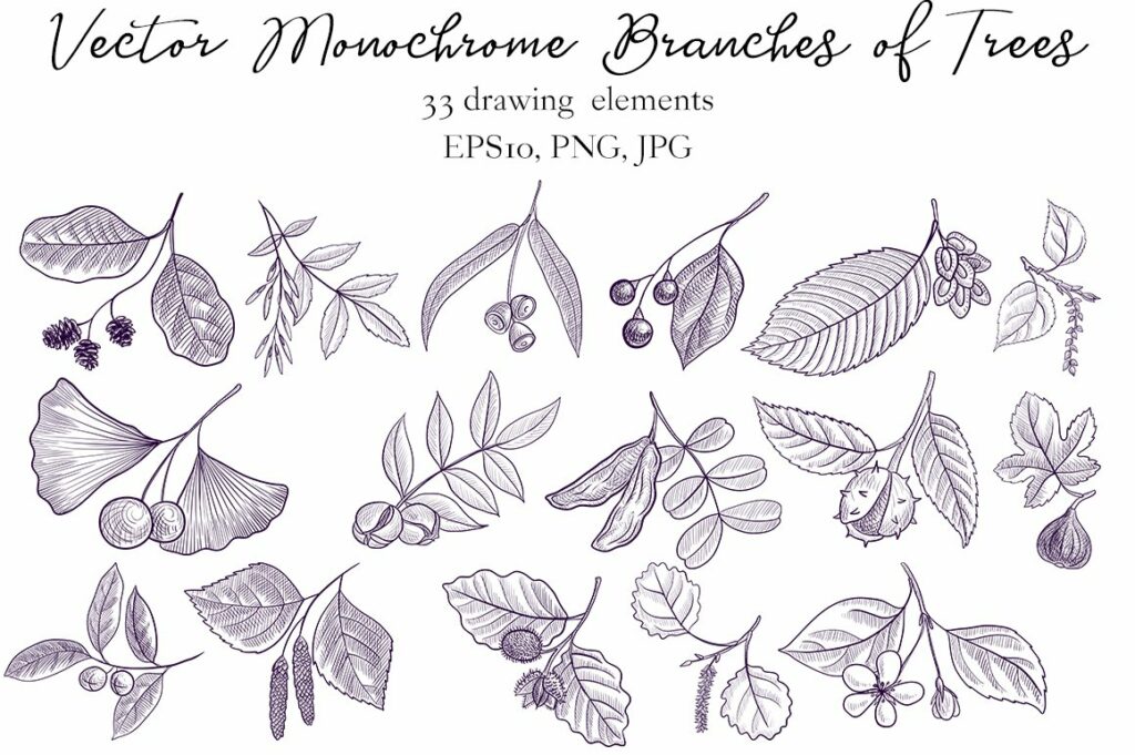 Vector Monochrome Branches of Trees – MasterBundles