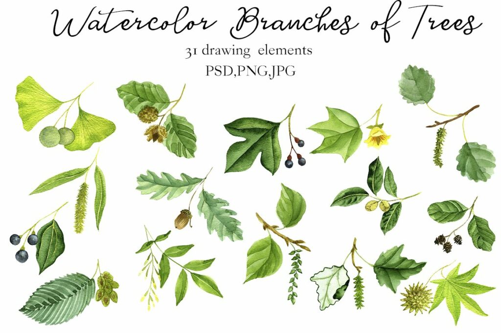 Watercolor Branches of Trees – MasterBundles