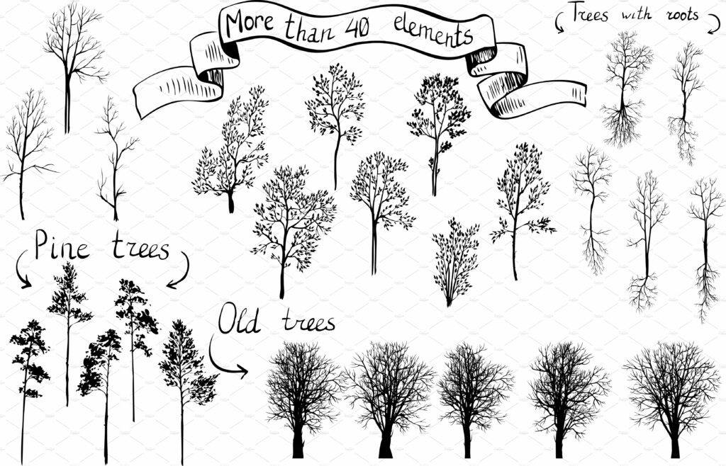 Set of trees – MasterBundles