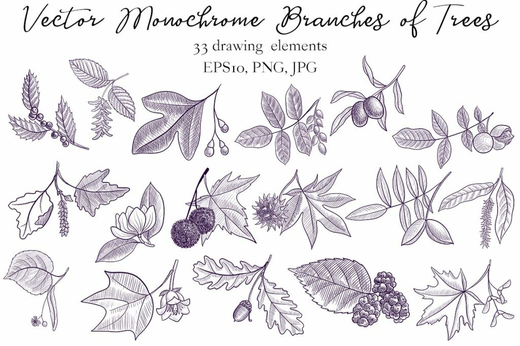Vector Monochrome Branches of Trees – MasterBundles