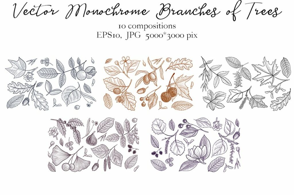 Vector Monochrome Branches of Trees – MasterBundles