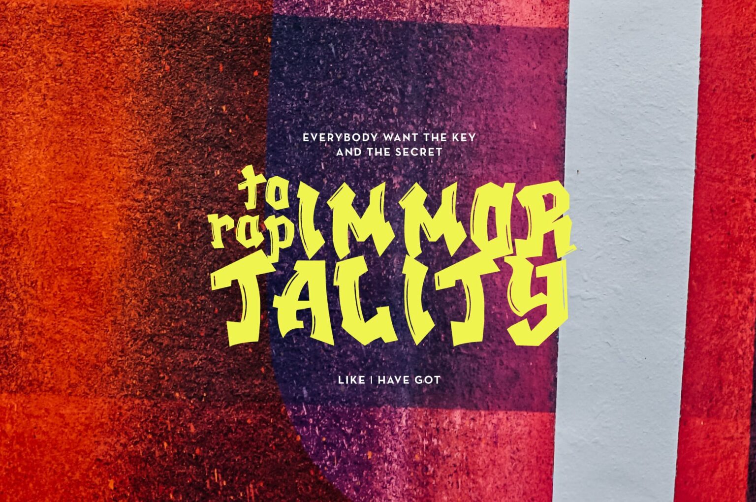 Heaven Spot - Rad Graffiti Display – MasterBundles