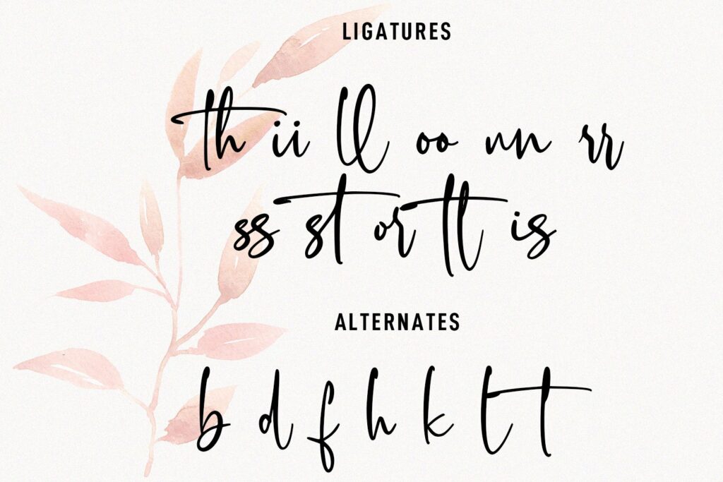 Heistorika Signature Script Font – MasterBundles