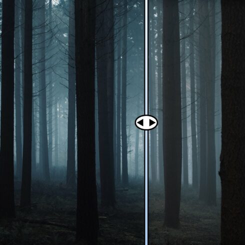 Horror Photo Filter Spooky Grading – MasterBundles