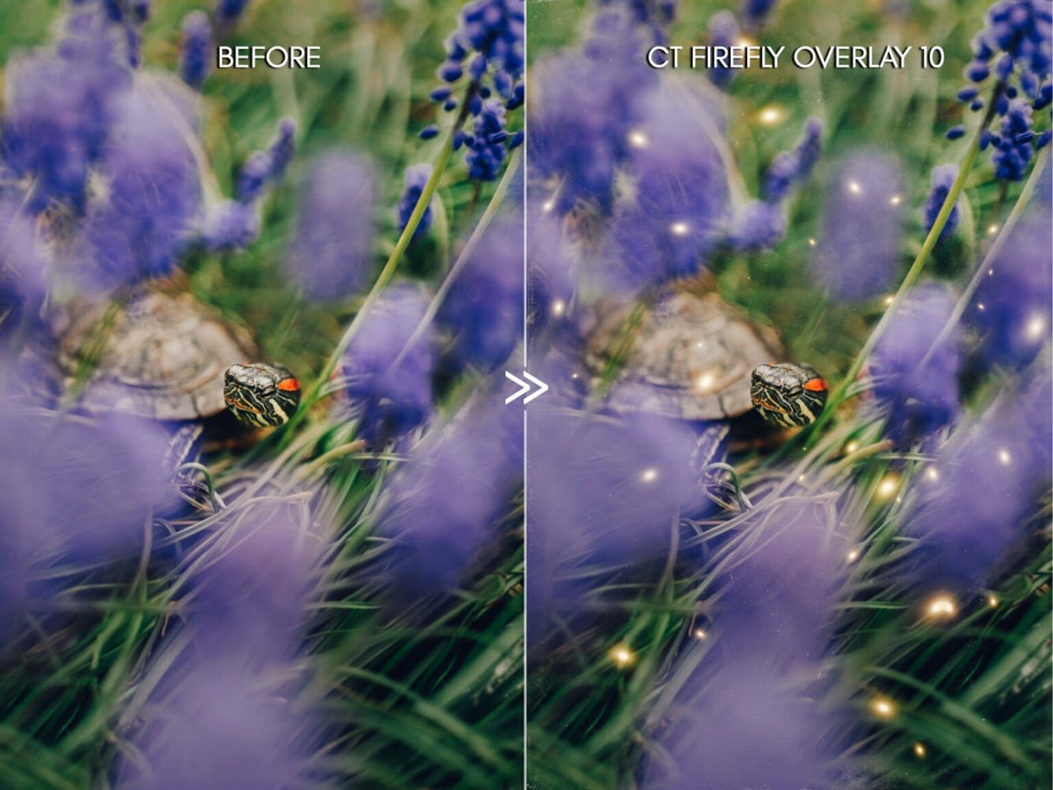 30 Dreamy Firefly Photo Overlays – MasterBundles