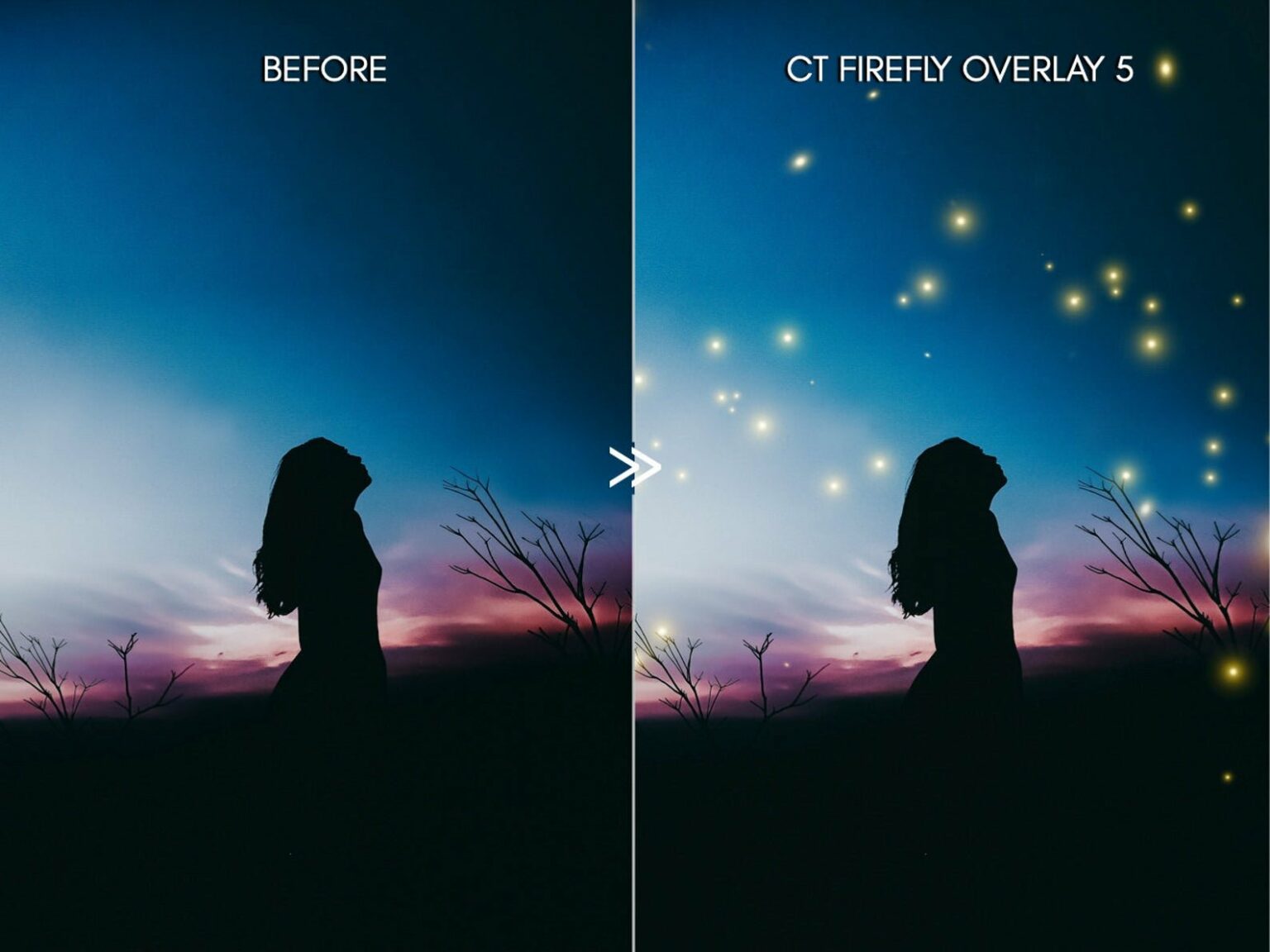 30 Dreamy Firefly Photo Overlays – MasterBundles