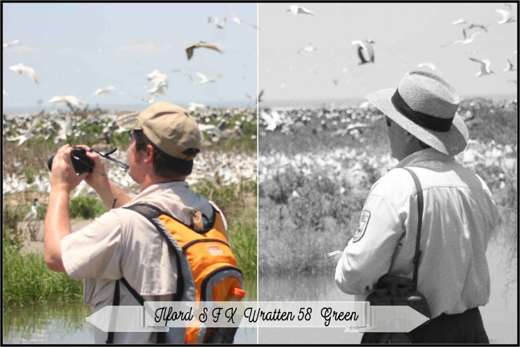 Ilford and Kentmere Films profiles – MasterBundles