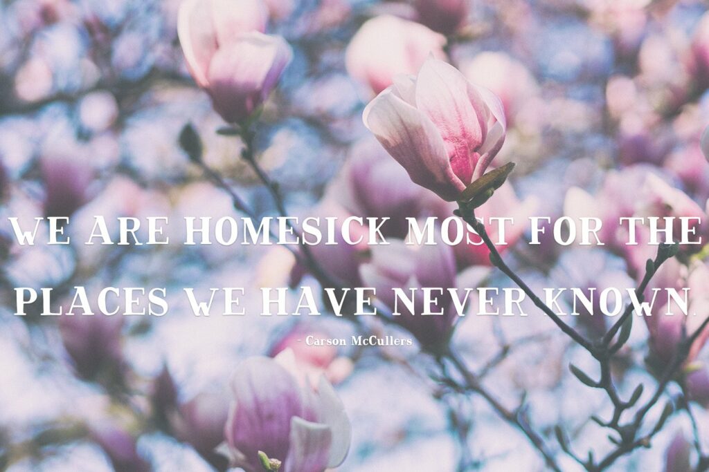 The Rustic Font Bundle – MasterBundles