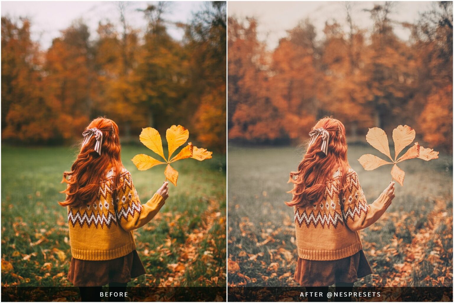 Insta Autumn Lightroom Presets – MasterBundles