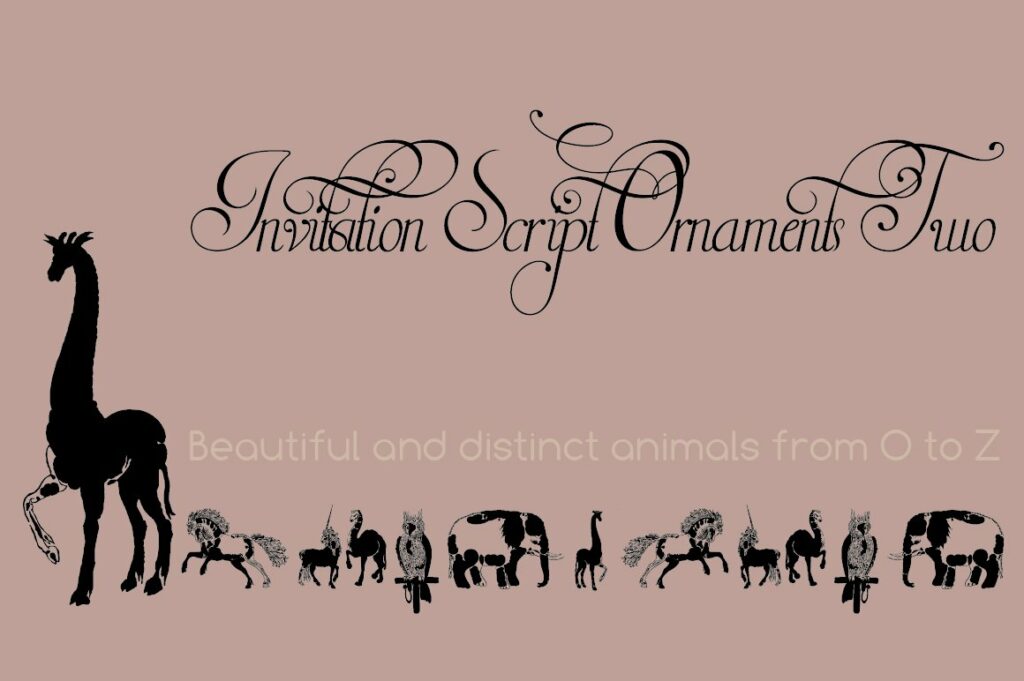 Invitation Script Ornaments Pack – MasterBundles