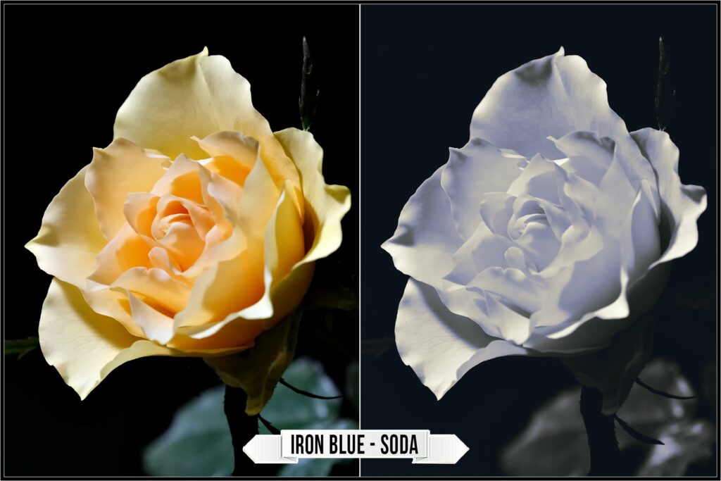 Darkroom Toners - Blue Split – MasterBundles