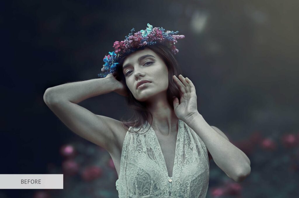 Moody Vibes Presets – MasterBundles