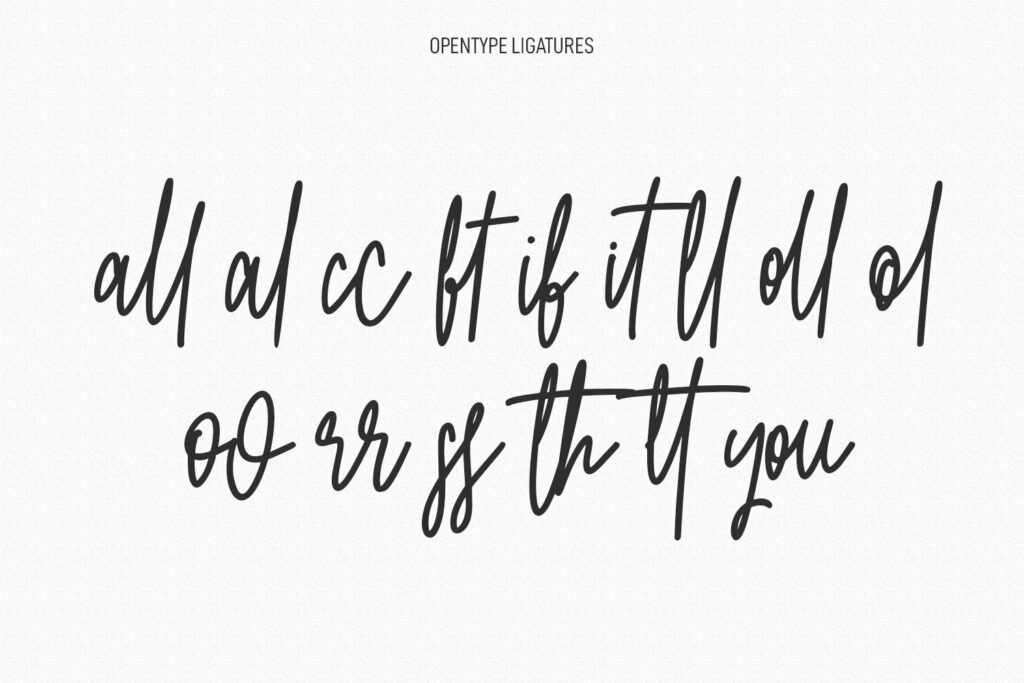 Jim Holly Signature Script Font – MasterBundles