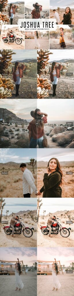 Joshua Tree Pro Lightroom Presets – MasterBundles