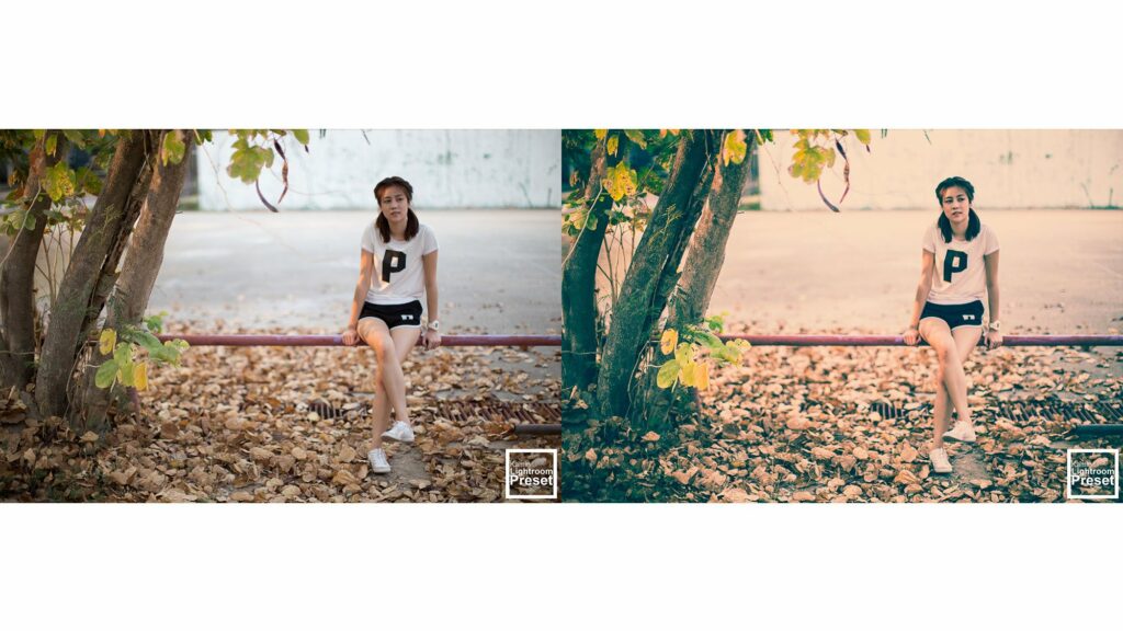 Kamin Film Feeling Roll 3 – MasterBundles