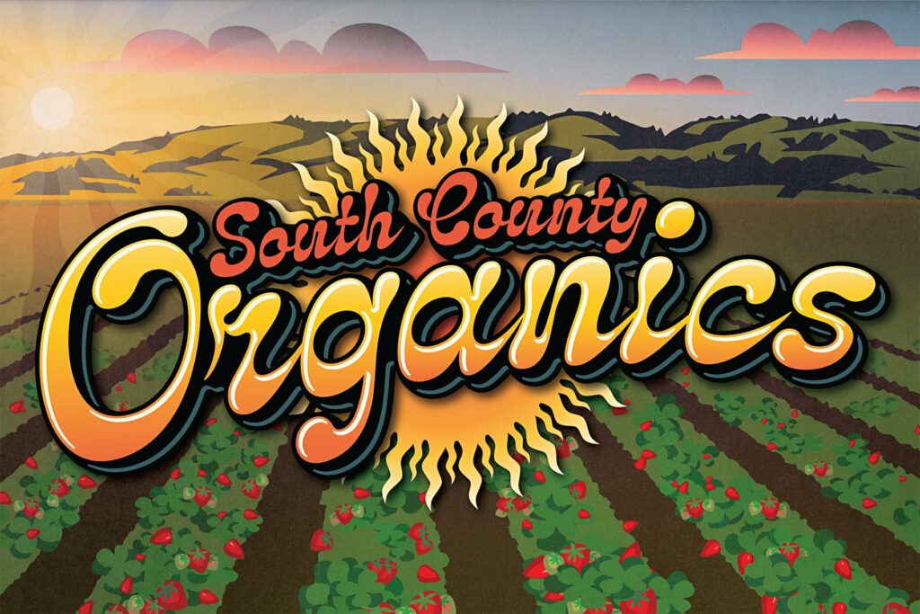 Klangfarbe Script Font – MasterBundles