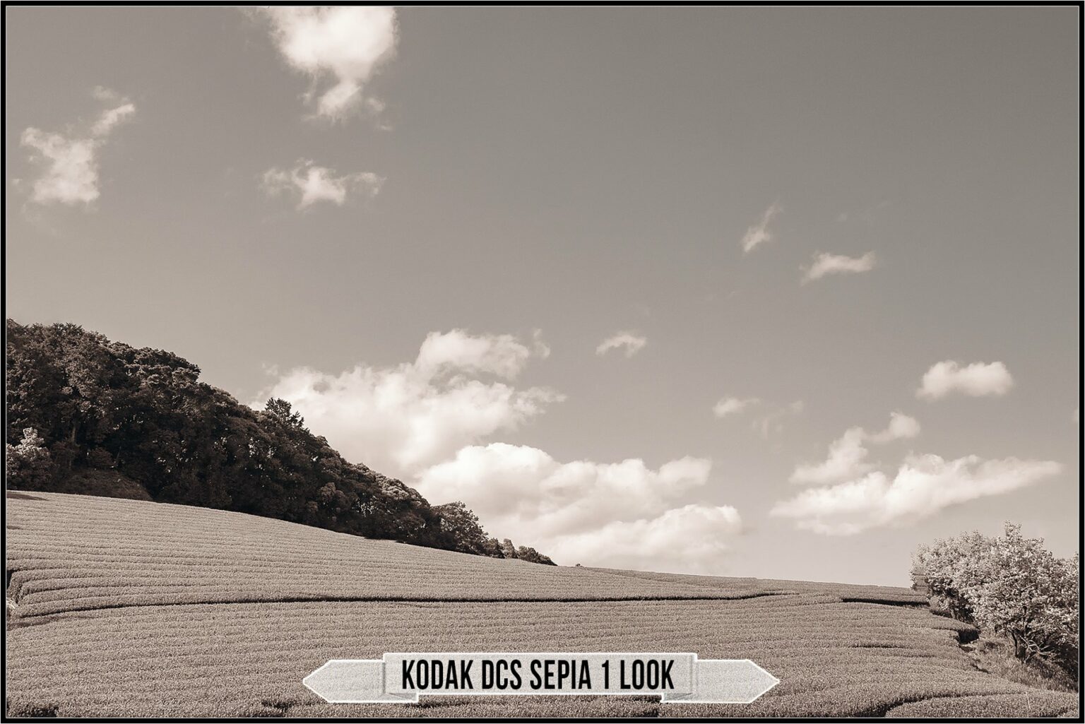 Authentic Sepia LUTs - Version 2 – MasterBundles