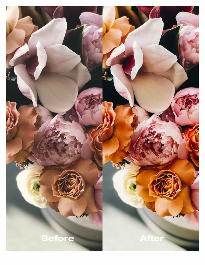 Kodak Gold Bundle Lightroom Presets – MasterBundles