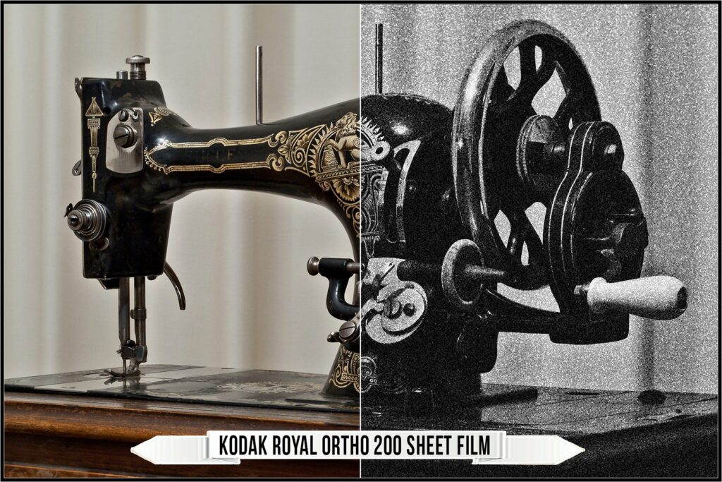 Eastman Kodak Black and White Films – MasterBundles