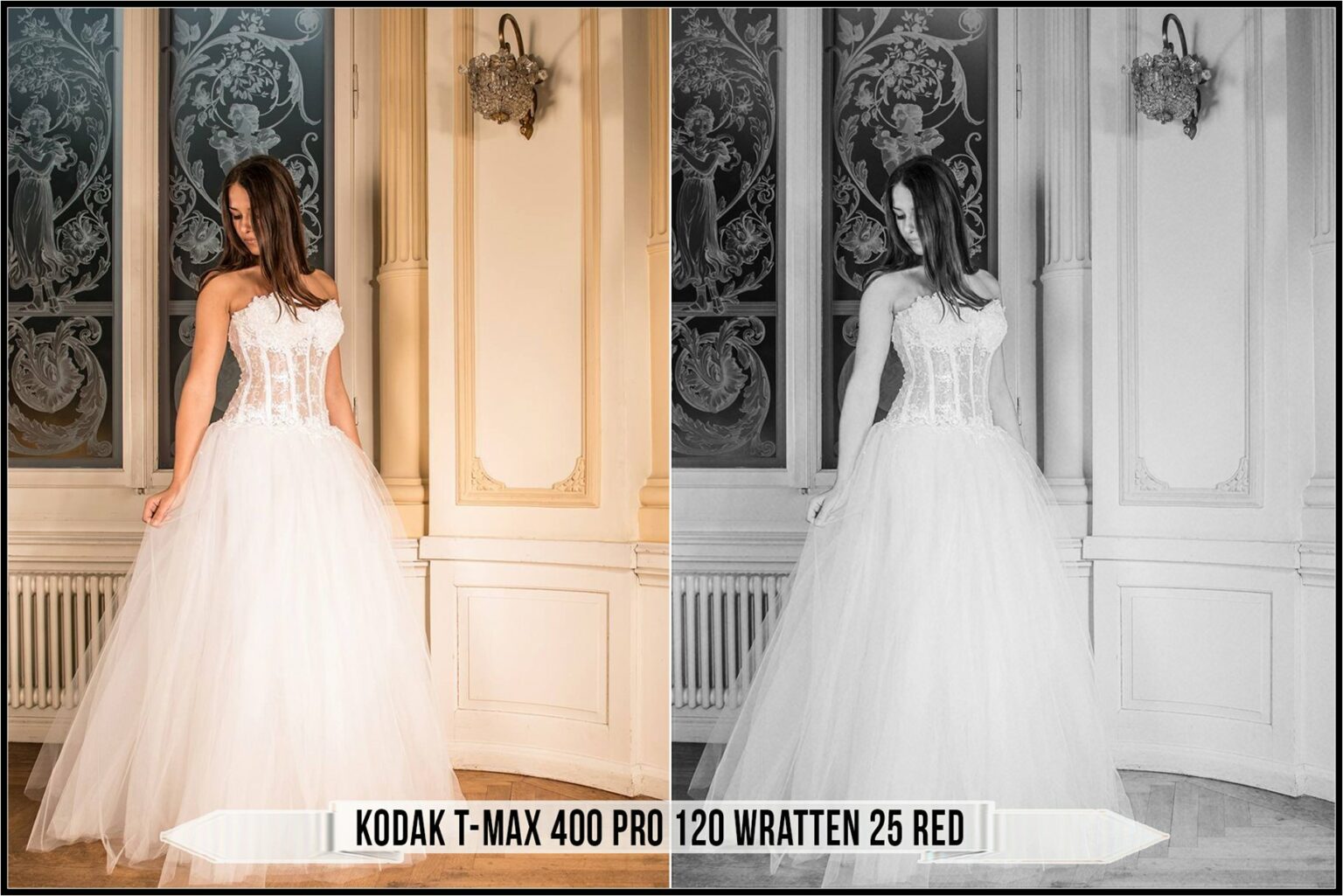 Eastman Kodak Black and White Films – MasterBundles