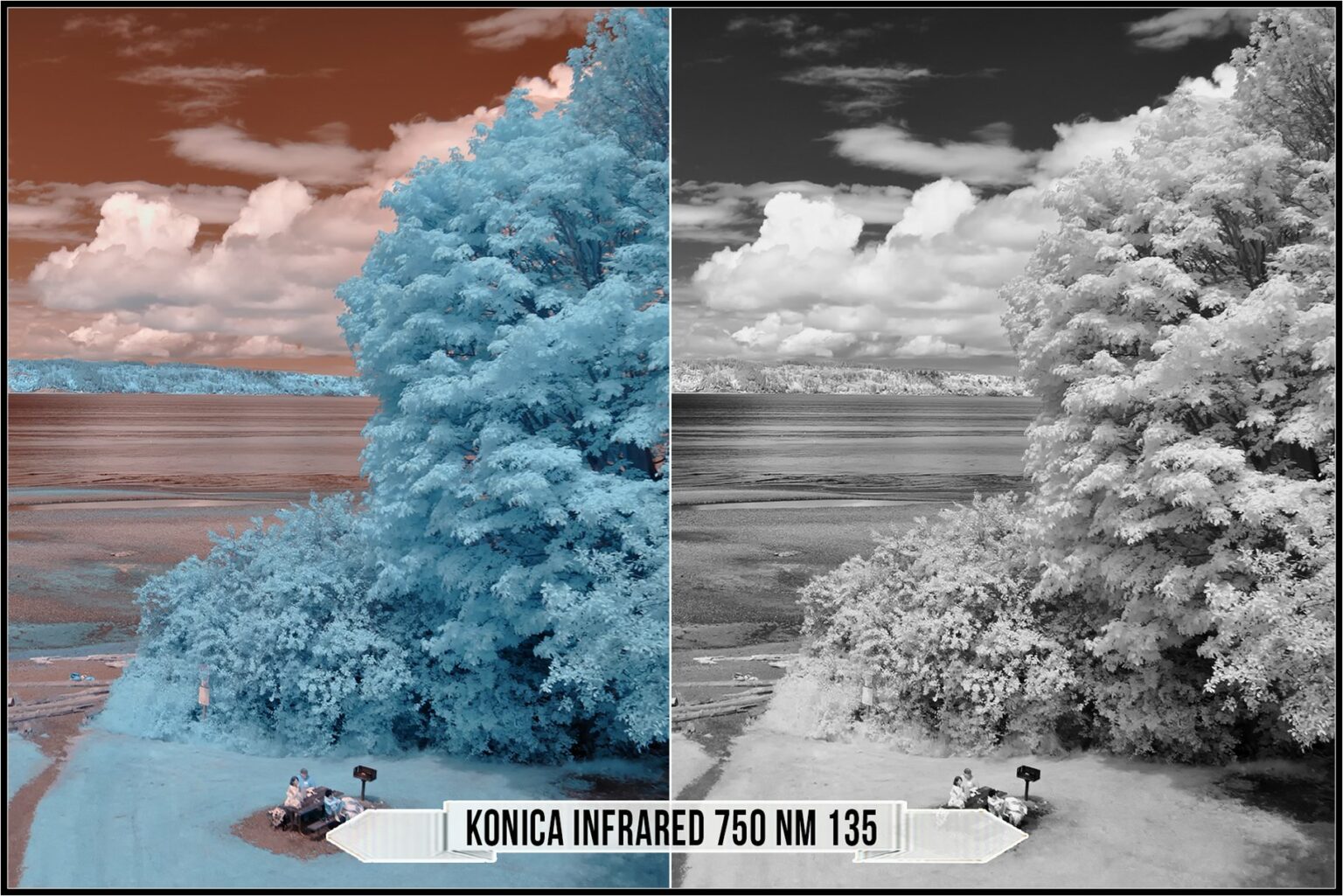 Infrared Monochrome Master Profiles – MasterBundles