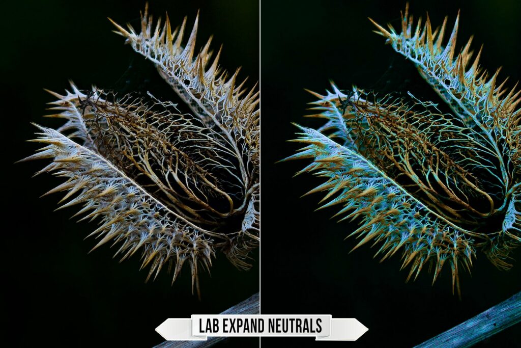 LAB Color Vol. 4 - Ultimate Colors – MasterBundles