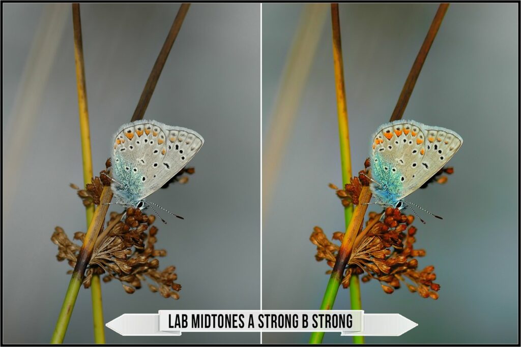 LAB Color Vol. 3 - Lab Variations – MasterBundles