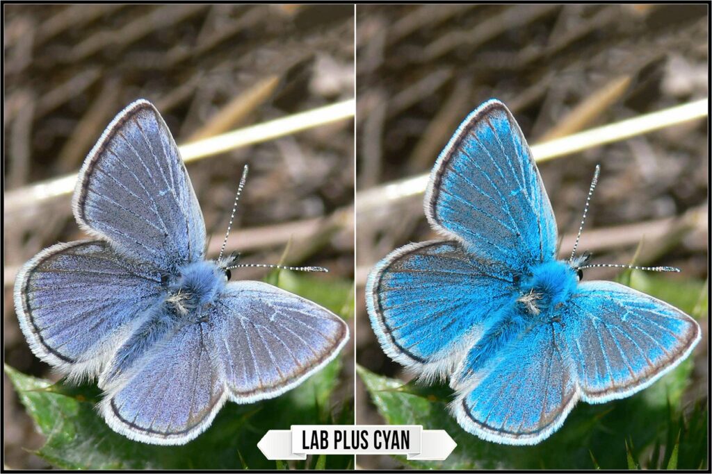 LAB Color Vol. 4 - Ultimate Colors – MasterBundles