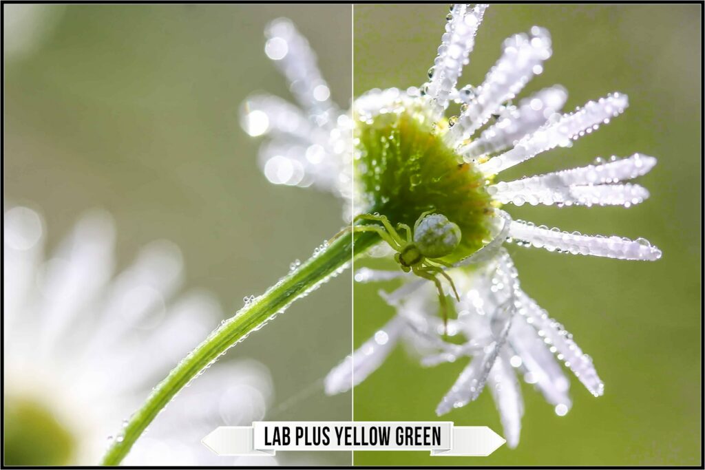 LAB Color Vol. 4 - Ultimate Colors – MasterBundles