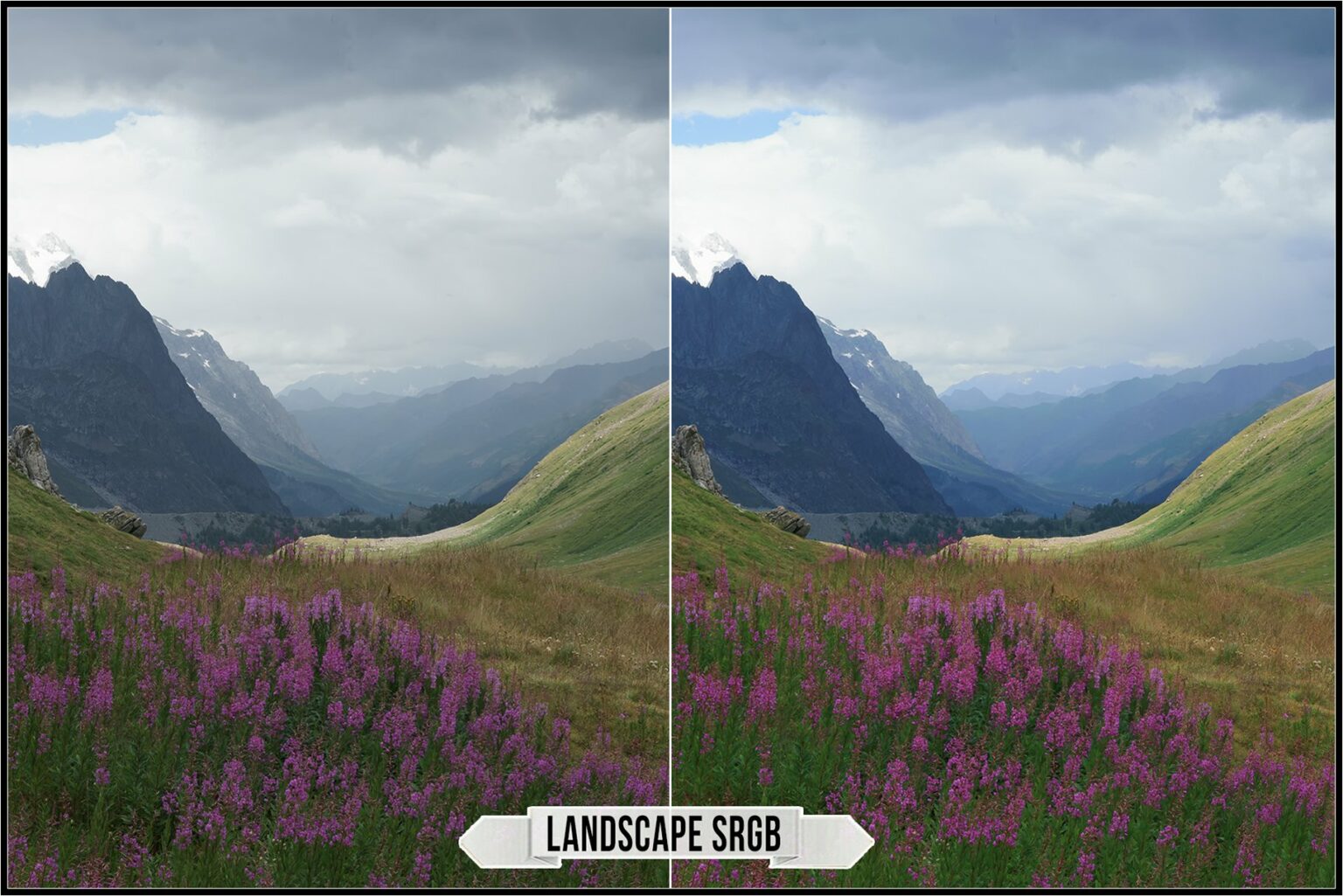 Canon Picture Styles Profiles – MasterBundles