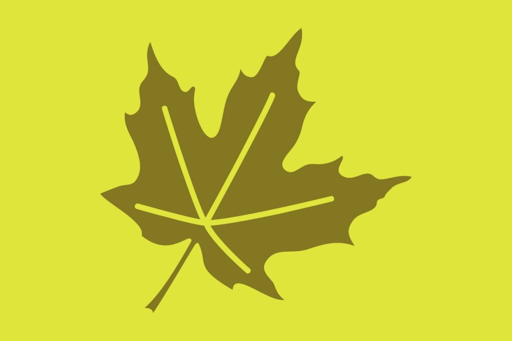 Leaf Assortment Font – MasterBundles