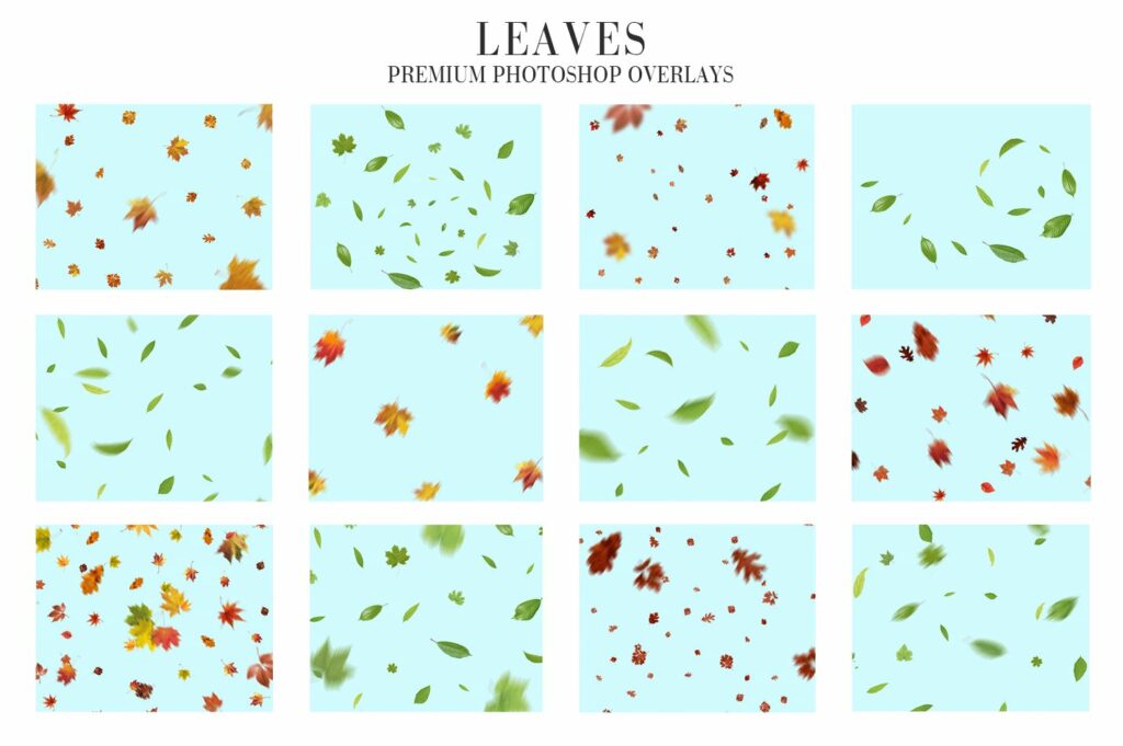 Fall Overlays Photoshop – MasterBundles