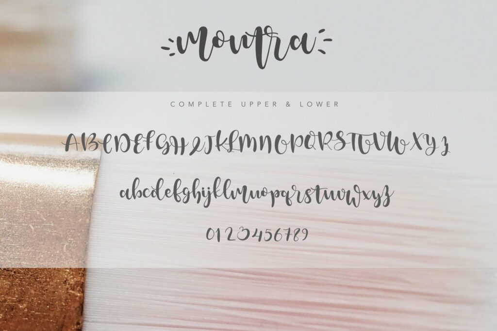 Montra Script – MasterBundles