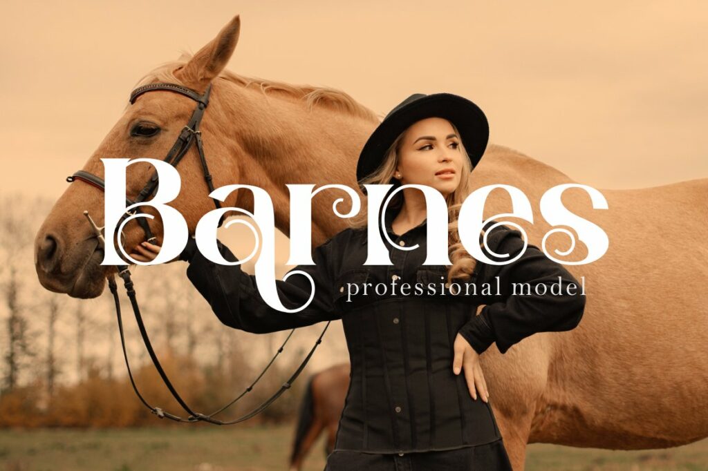 Layla - Display Serif Font – MasterBundles