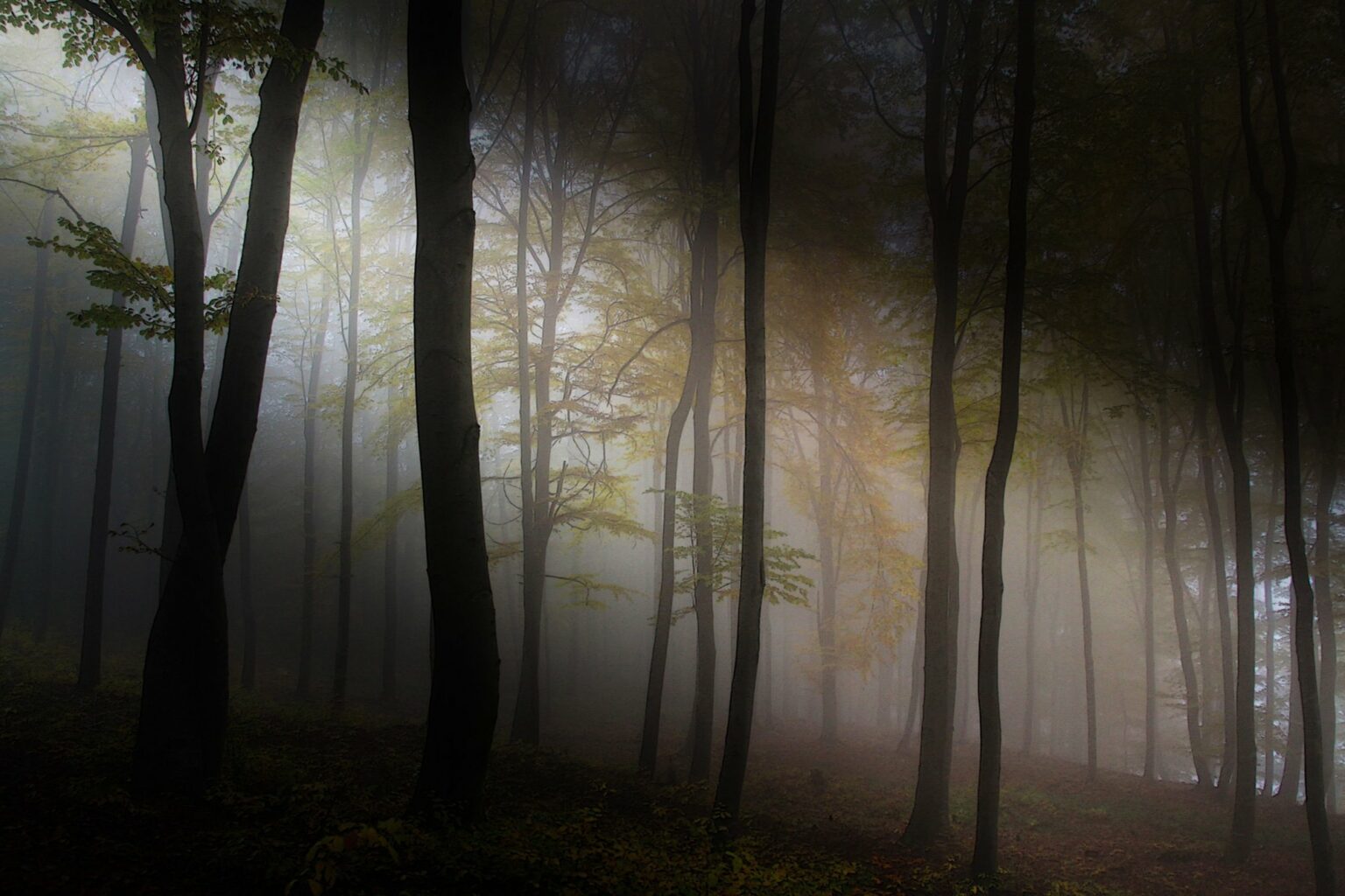 25 Light Shaft Composite Overlays – MasterBundles