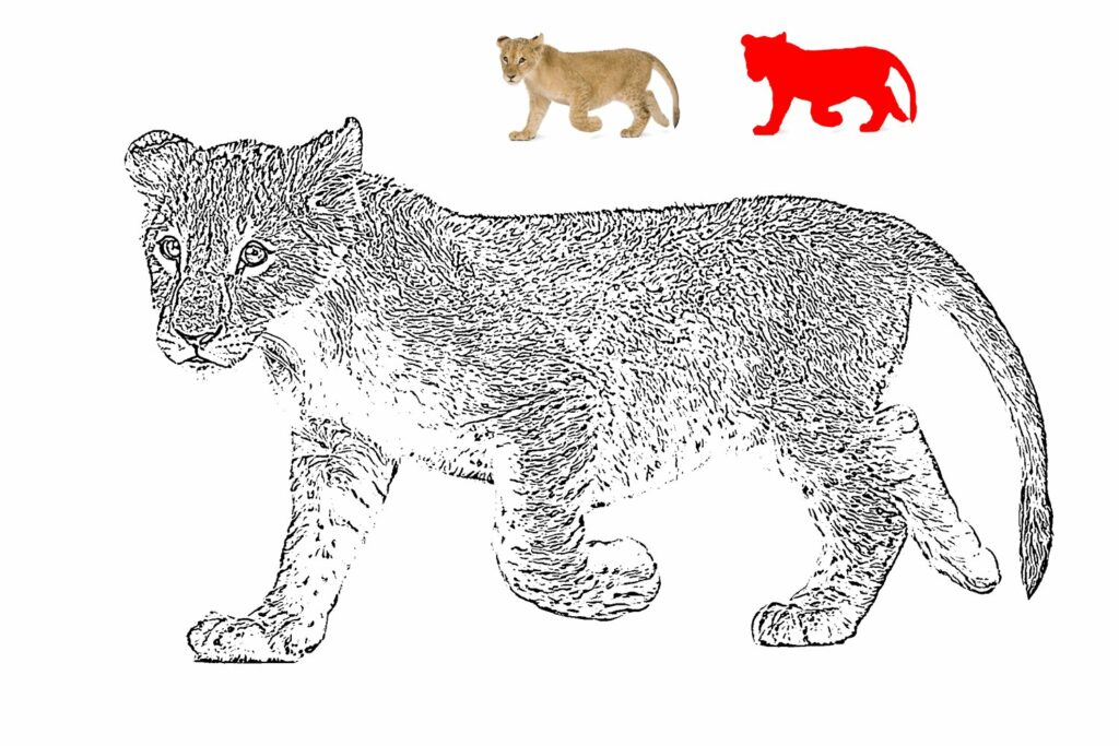 Line Art & Vector Tracing – MasterBundles