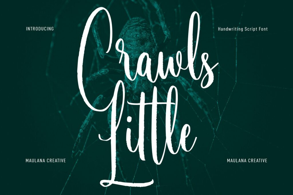 Little Crawls Script Font – MasterBundles