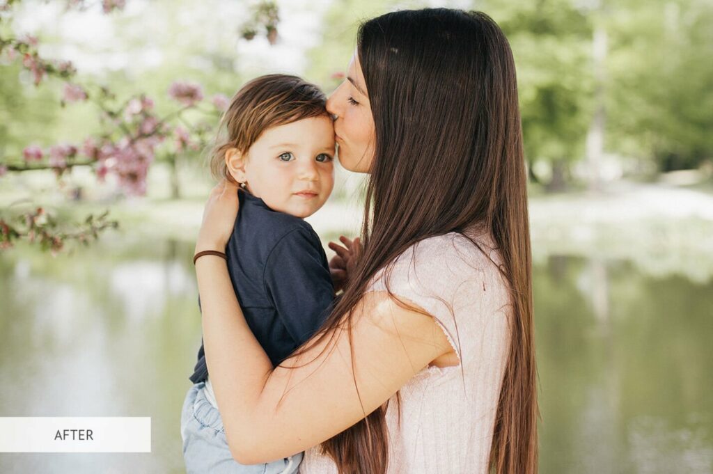 Entire Collection 1978 – MasterBundles