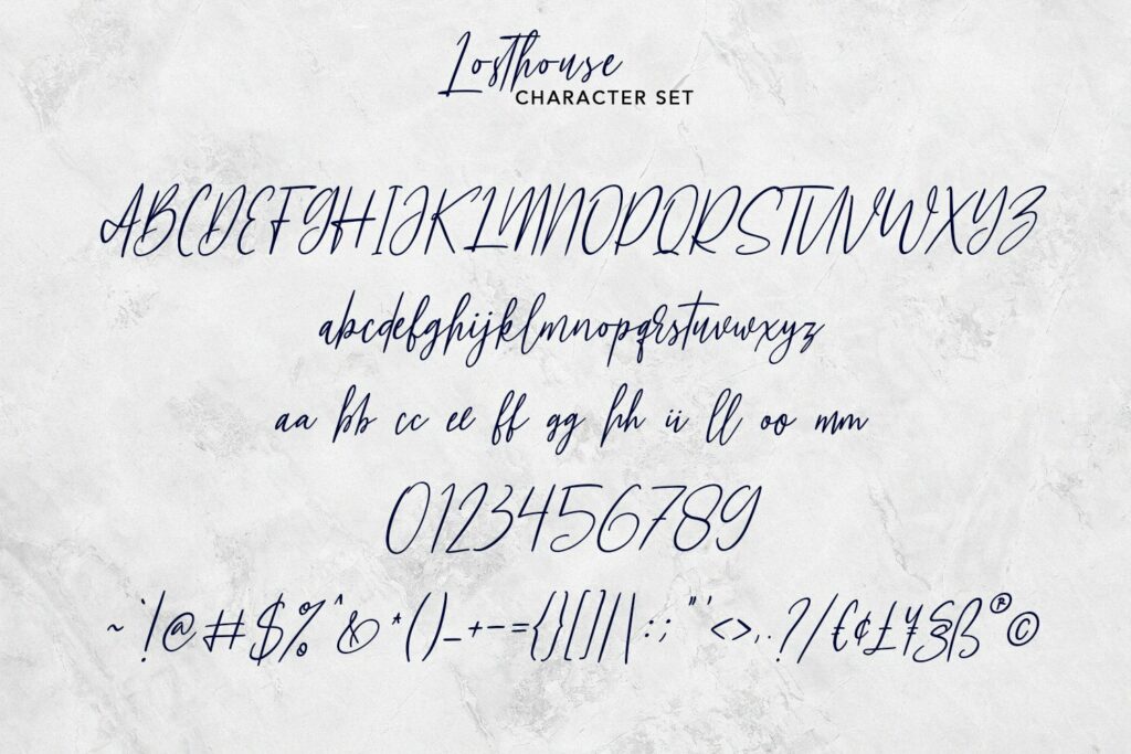 Losthouse Fancy Script Font – MasterBundles