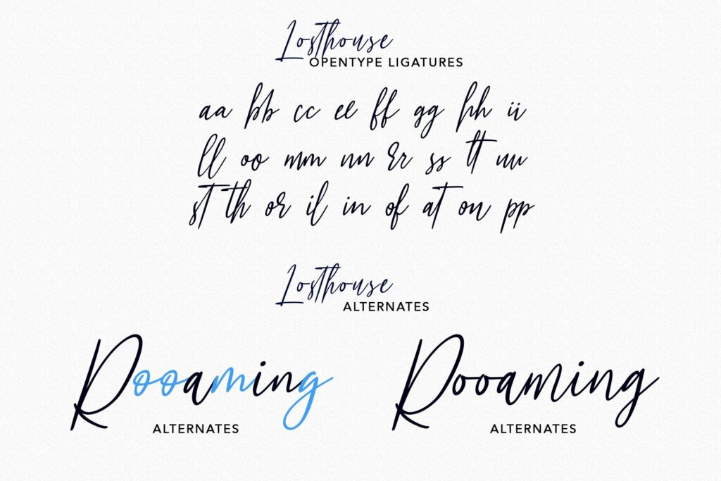 Losthouse Fancy Script Font – MasterBundles
