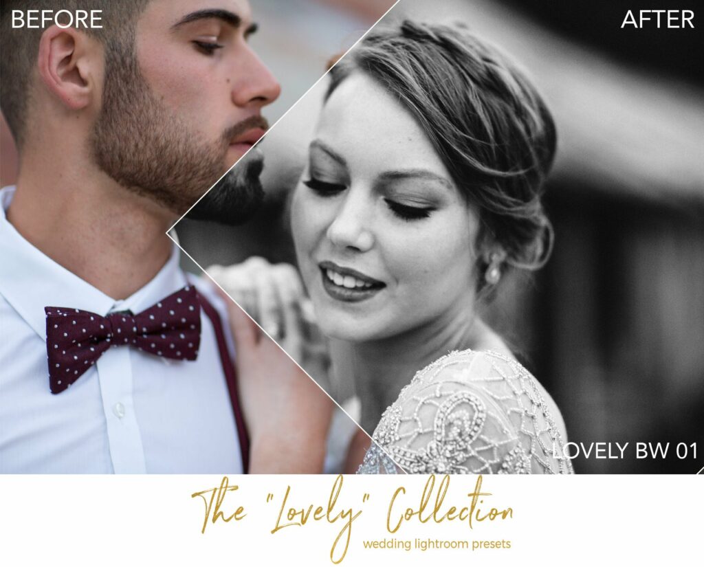 Fine Art B&W ACR + LightroomPreset – MasterBundles