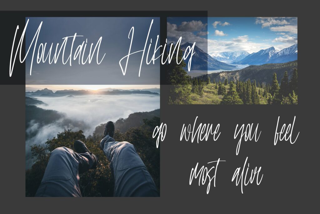 LoyaltyProgram - Calligraphy Font – MasterBundles