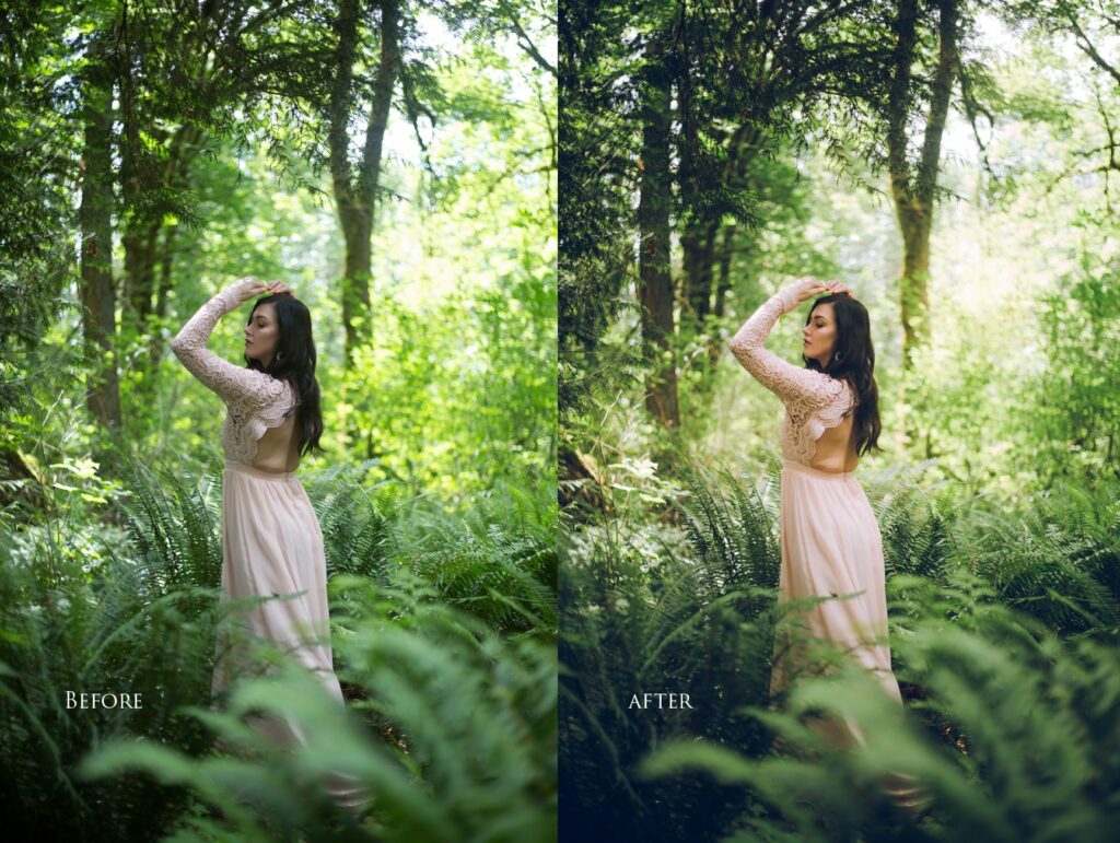 Magical Woods 10 Lightroom Presets – MasterBundles