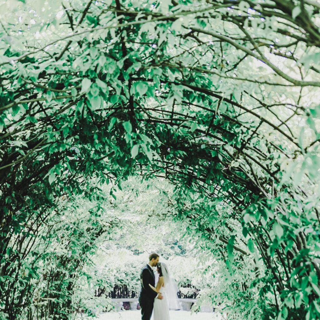 Signature Bright & Airy LR Preset – MasterBundles